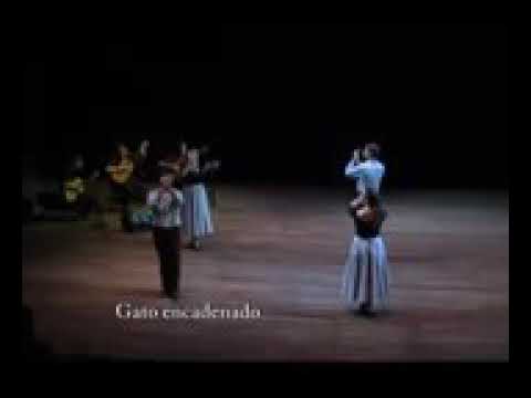 Hermoso baile del gato encadenado 😊 - YouTube