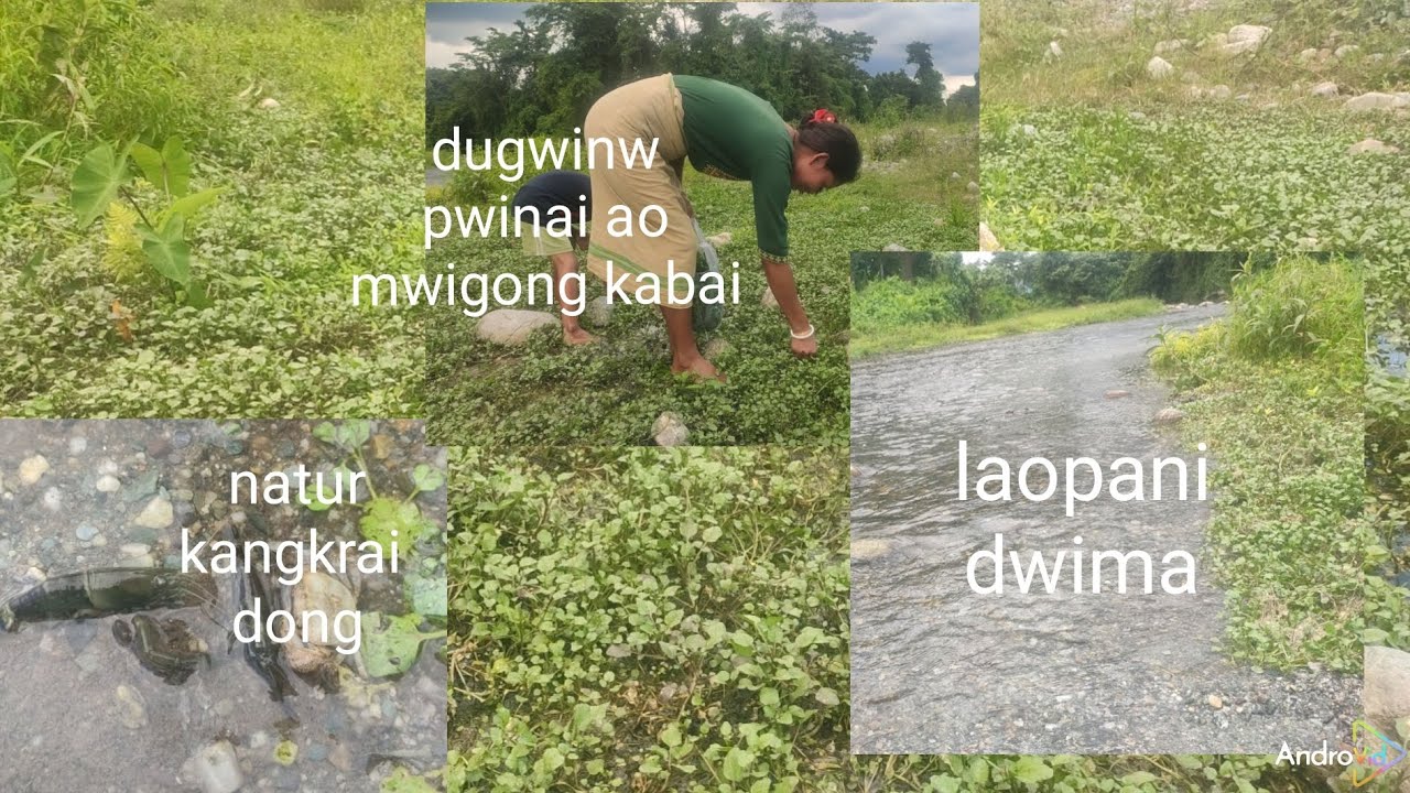 Laopani dwiao dugwihwidwng//mwigong kabai//samo kangkrai dong// - YouTube