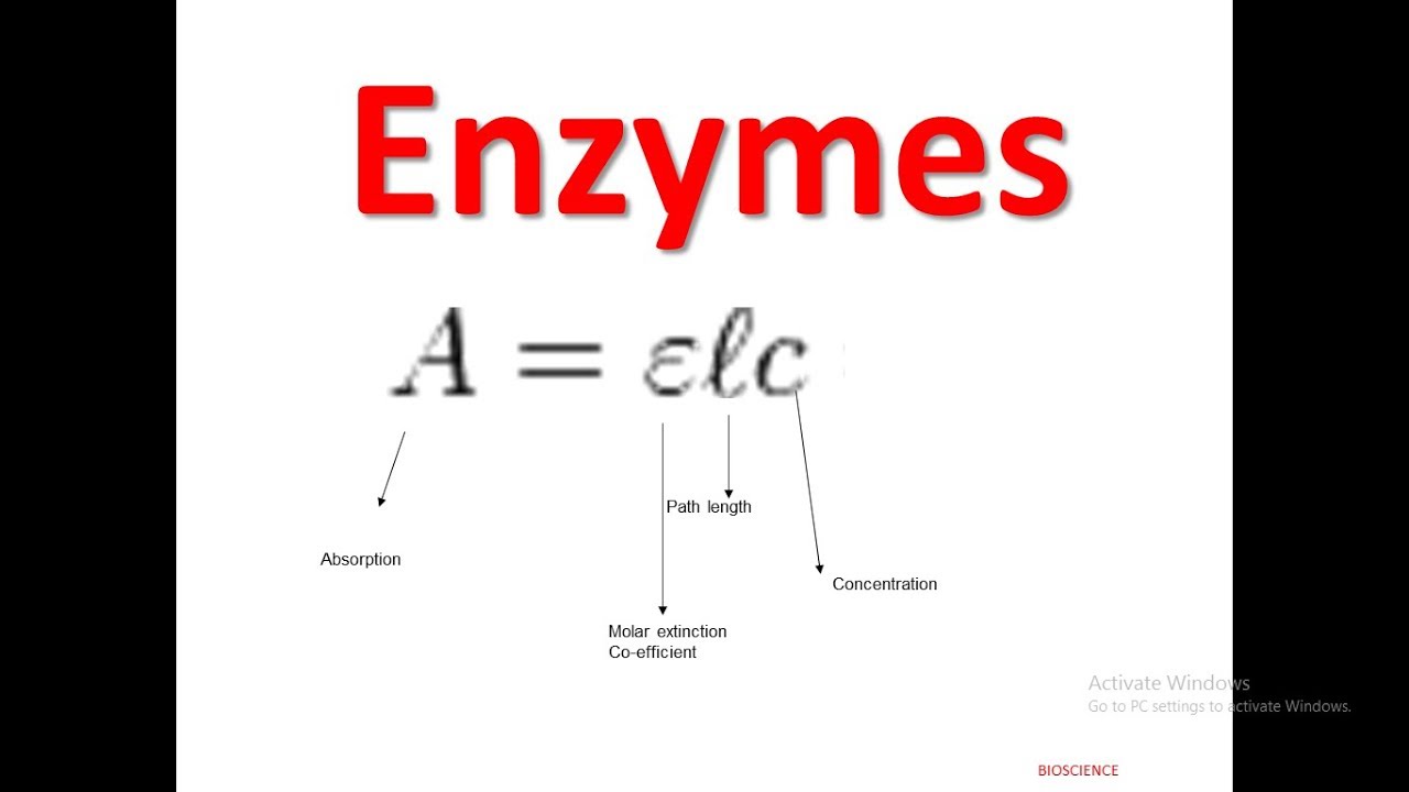 Enzymes-Introduction,Units,Types, Specific Activity, - YouTube