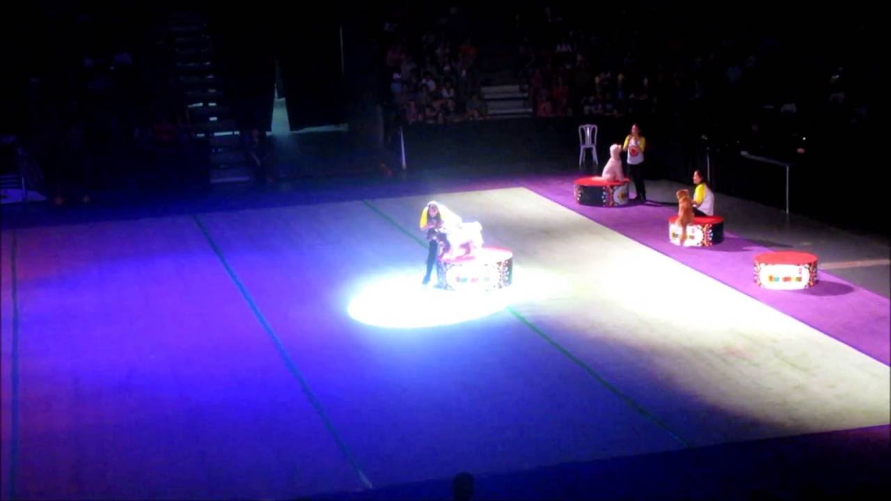 Super Dogs PNE Pacific Coliseum rant 2016-08-23 - YouTube
