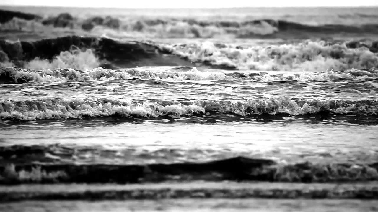 Shoaling Adriatico - YouTube