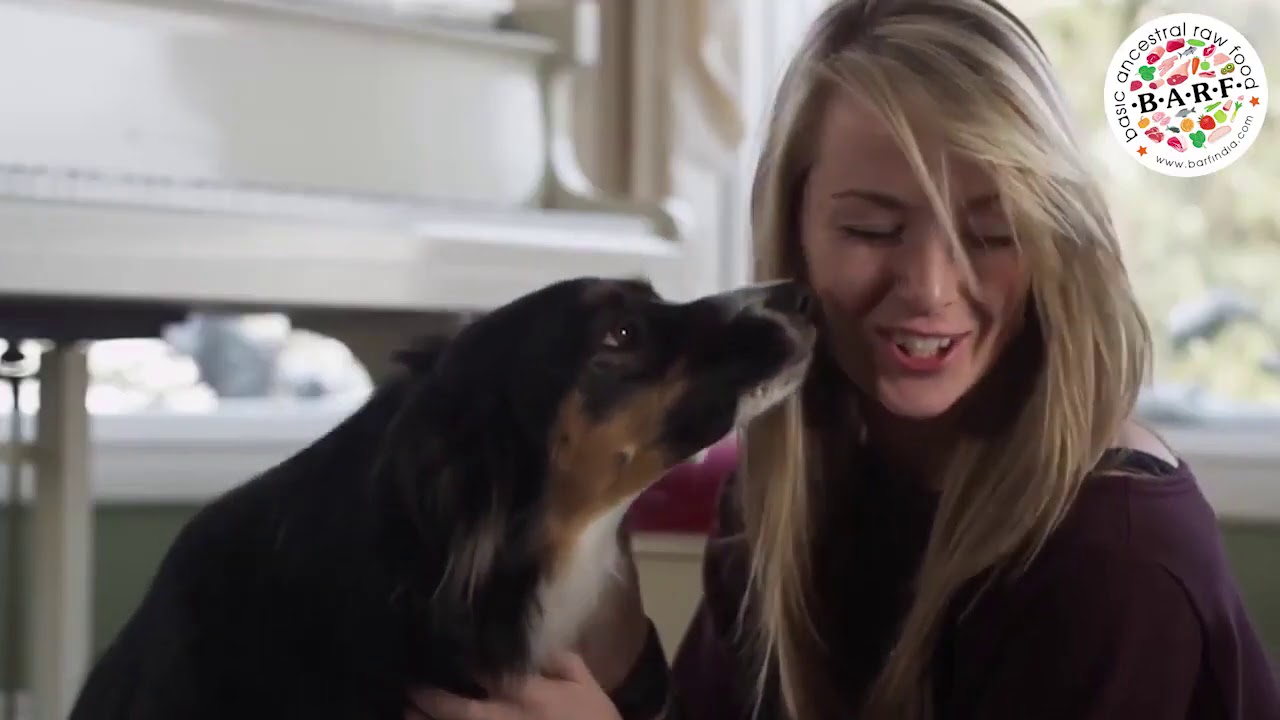 Pet Ad Promotional Video| produce short video ads for social media or ...
