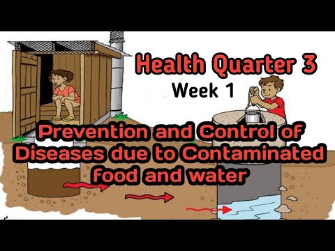 Prevention and control of diseases due to contaminated food and water ...