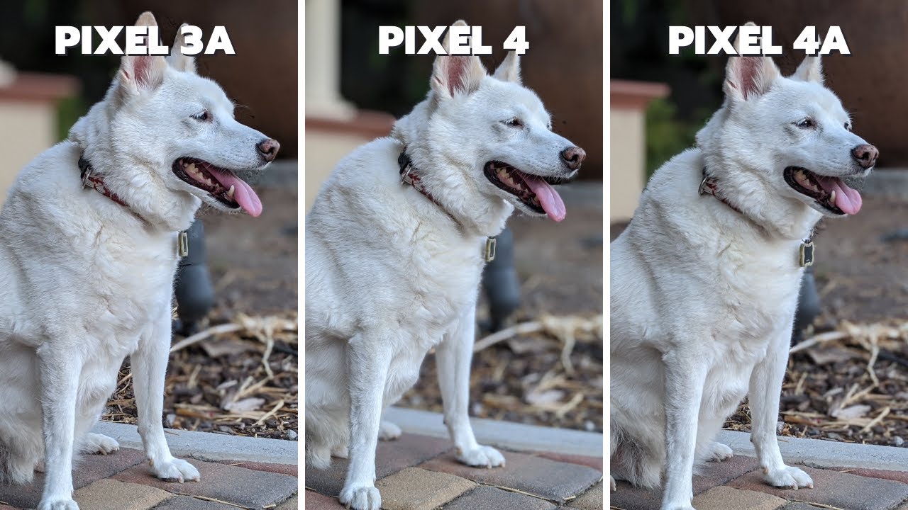Pixel 3a vs Pixel 4 vs Pixel 4a Camera Comparison - YouTube