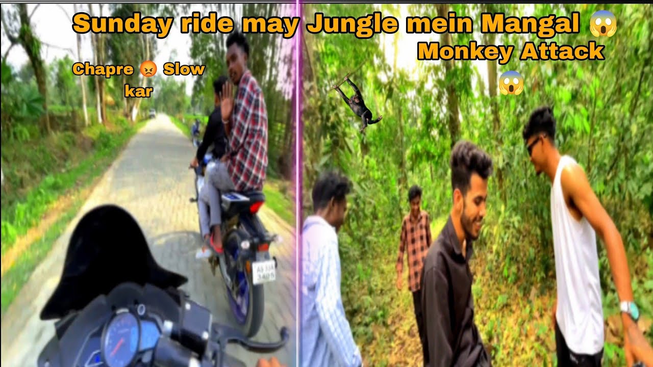 Sunday ride may Jungle mein Mangal 😱 || Monkey attack on us 😡 - YouTube