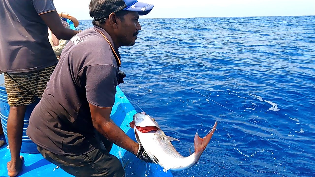 LINE FISHING IN THE SEA - YouTube