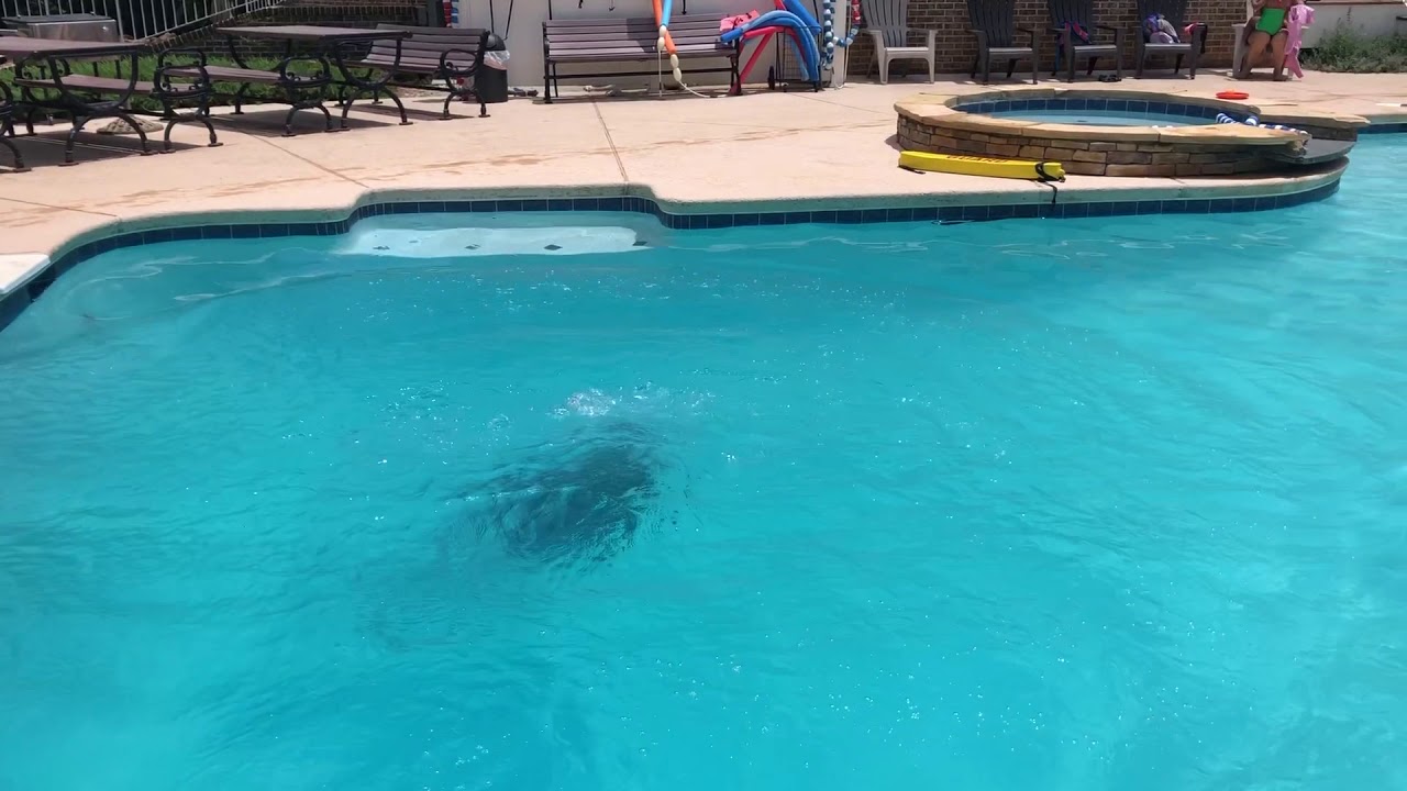 Adult Jump Roll to Back - YouTube