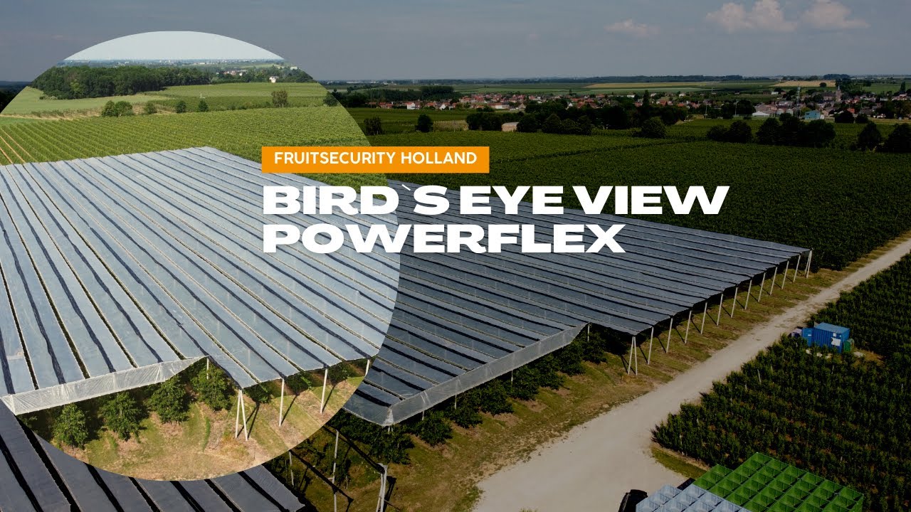 Bird's eye view Powerflex Foil System (Anti-Rain System)- FRUITSECURITY ...