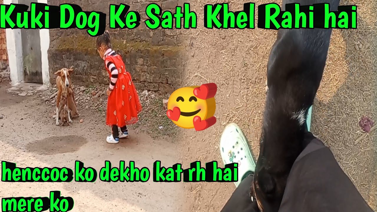 Kuki Dog ke Sath khel Rhi hai 🥰 And hangkok Ko dekho kahan gus rh hai ...