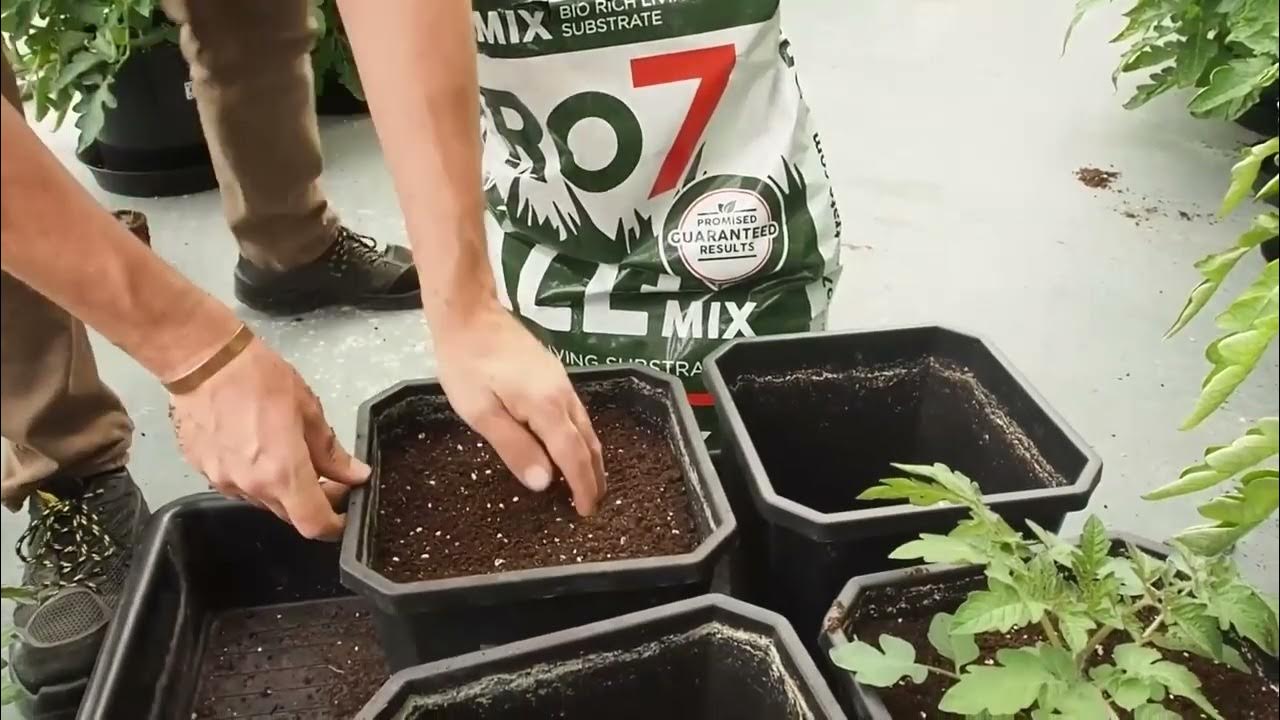 JIFFY PRO7 ALL+ MIX - YouTube