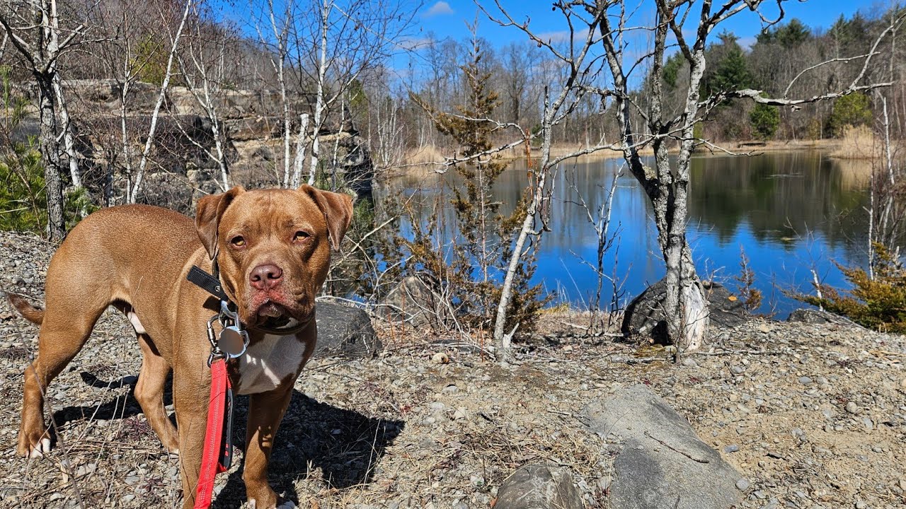 Lynn Valley Pit - YouTube