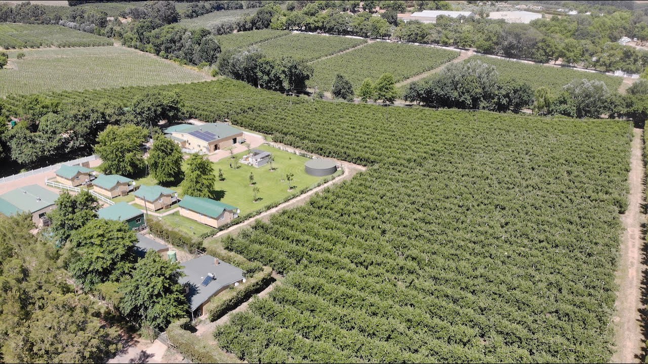 Welbedacht Farm, Vyeboom - YouTube