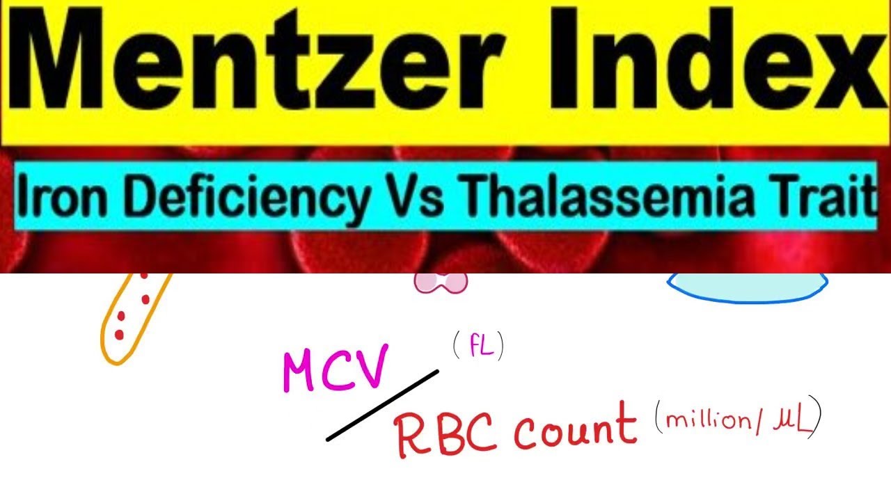 MENTZER INDEX - YouTube