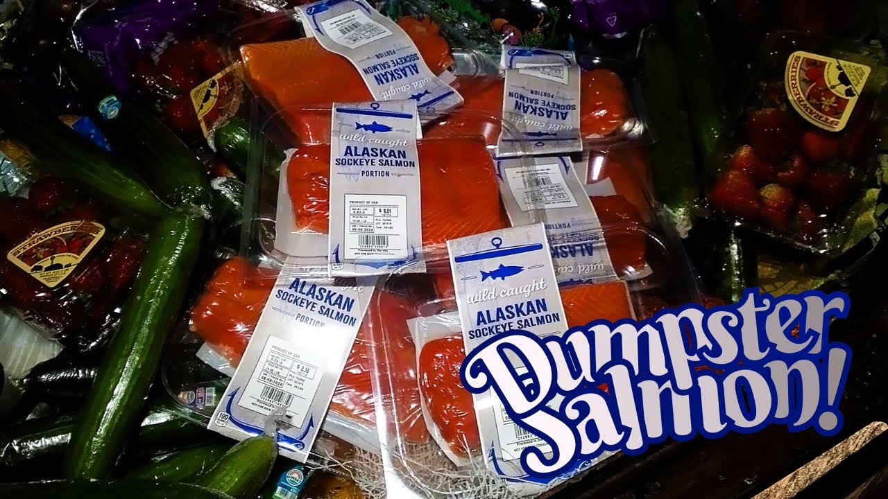 Dumpster Diving Grocery Store Dollar General & More! - YouTube