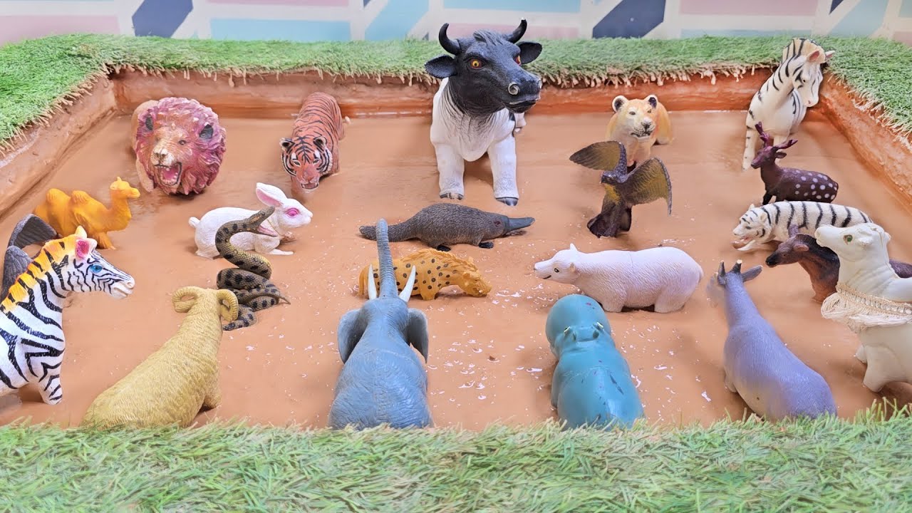 The Epic Quest to Learn About Domestic Farm and Mountain Jungle Animals ...