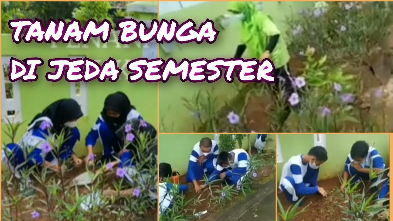 JEDA SEMESTER "DENGAN MENANAM BUNGA" [semester break "by planting ...