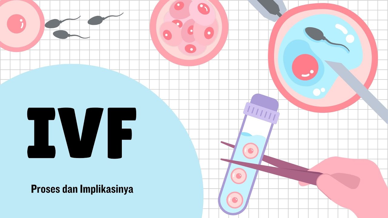 Proses Program Bayi Tabung (IVF) dan Resikonya #kehamilan #hamil #ivf # ...