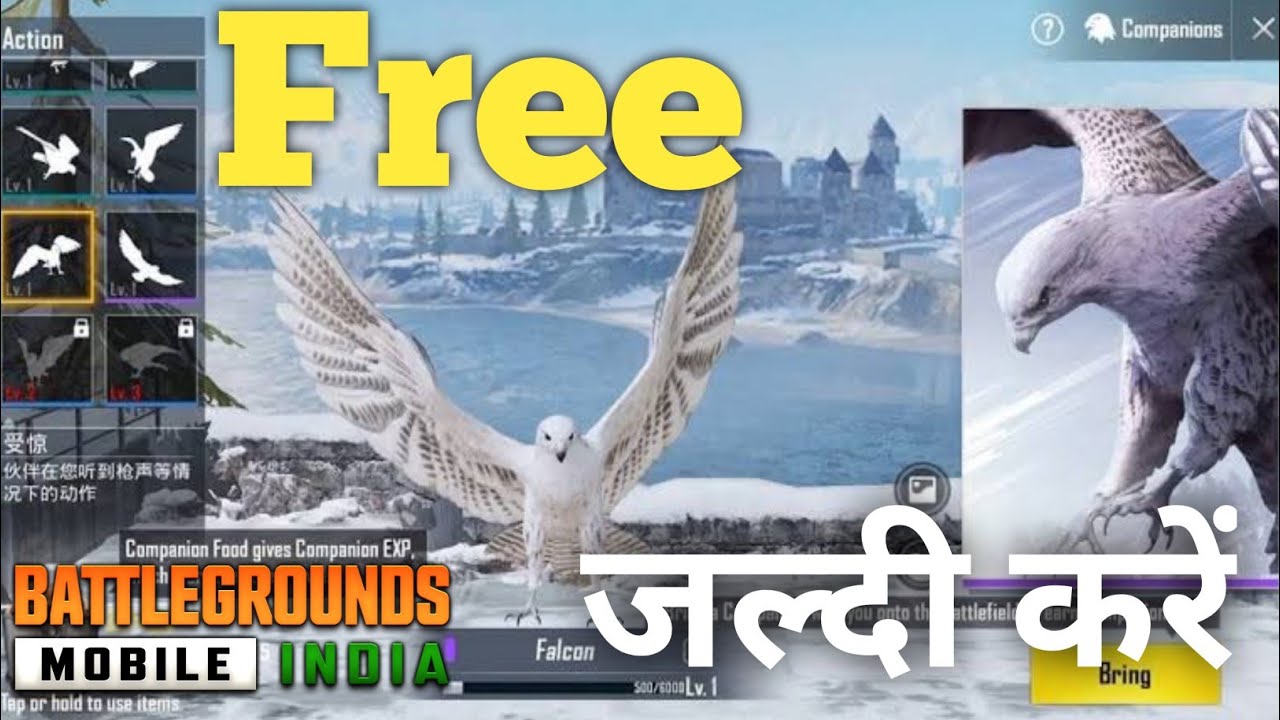 Bgmi Me Free Me Falcon Kaise Le 2023 | How To Get Free Falcon In Bgmi ...
