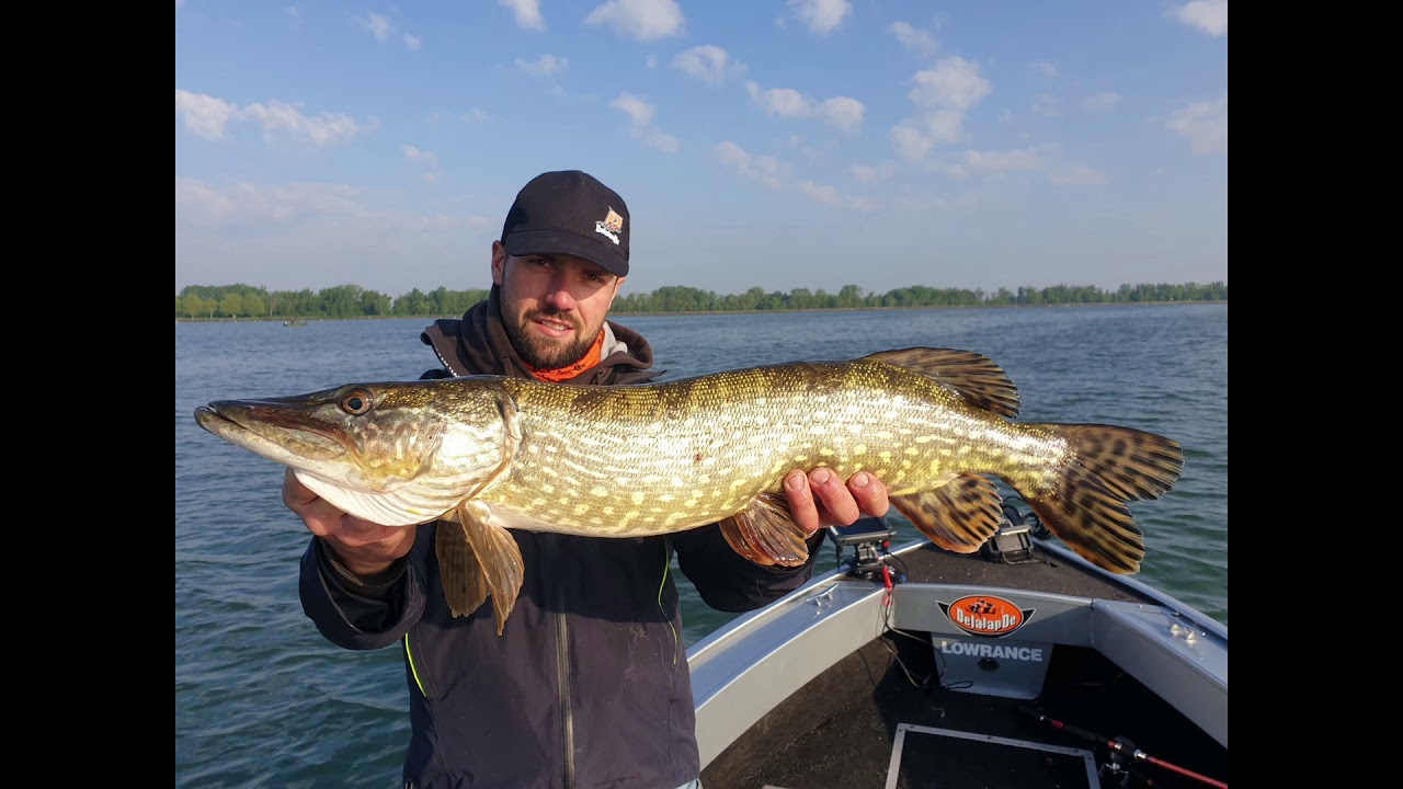 ouverture 2019 au Sea Pike - YouTube