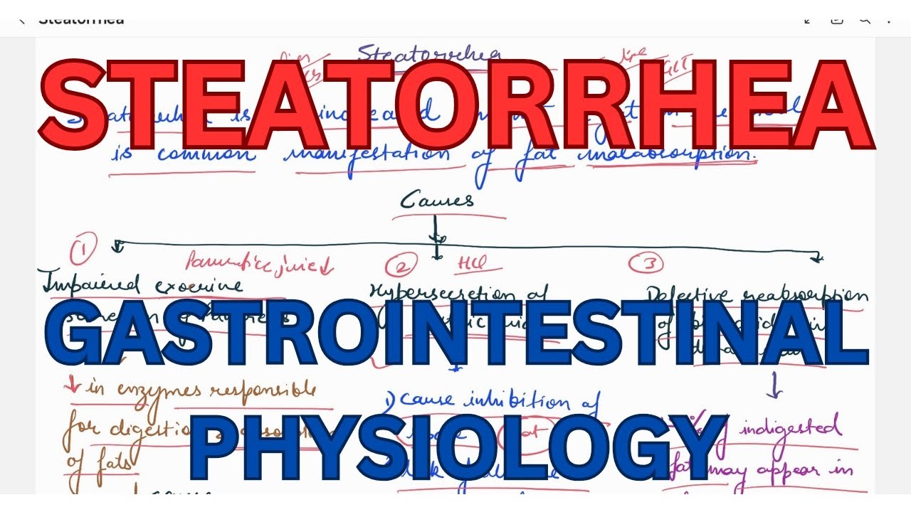 Steatorrhea, GIT physiology, Telegram https://t.me ...
