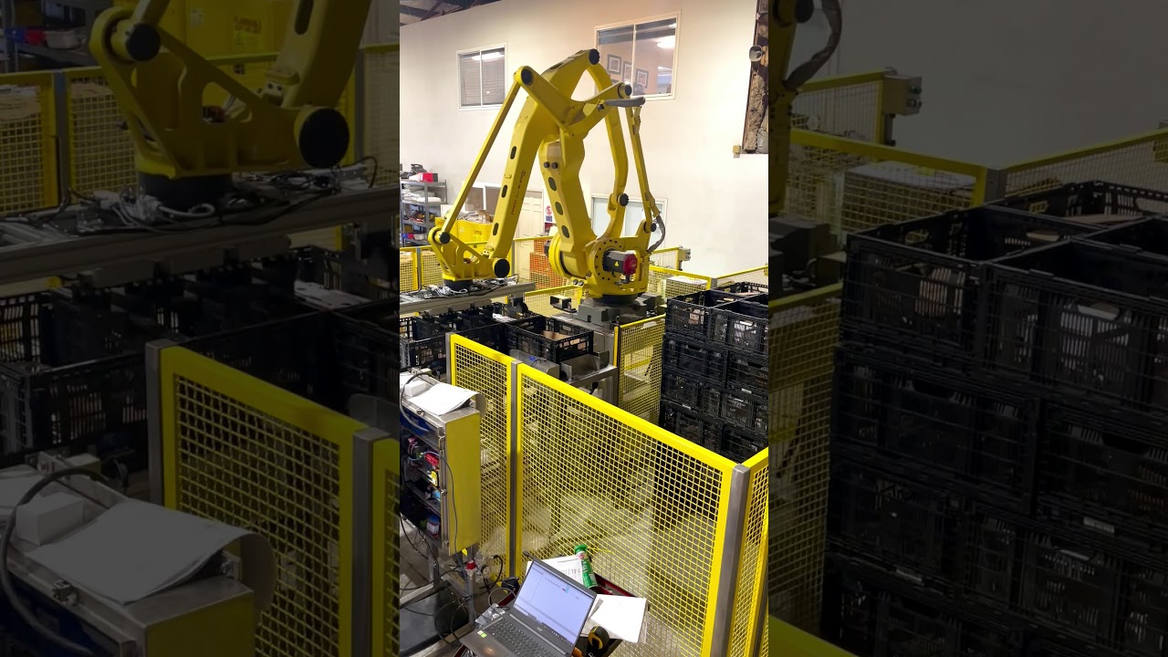 RPC Palletizing Part 2 - YouTube