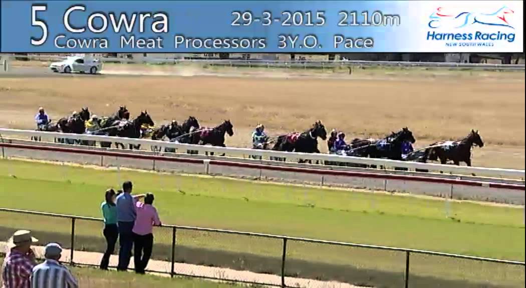 COWRA - 29/03/2015 - Race 5 - COWRA MEAT PROCESSORS THREE YEAR OLD PACE ...
