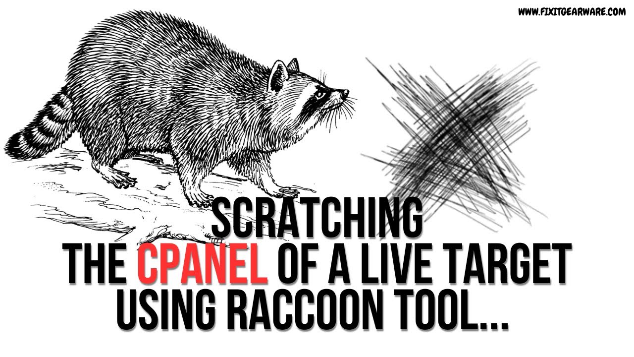 RACCOON TOOL AND COMMAND IN ACTION: SCRATCHING A LIVE DOMAIN’S cPANEL ...