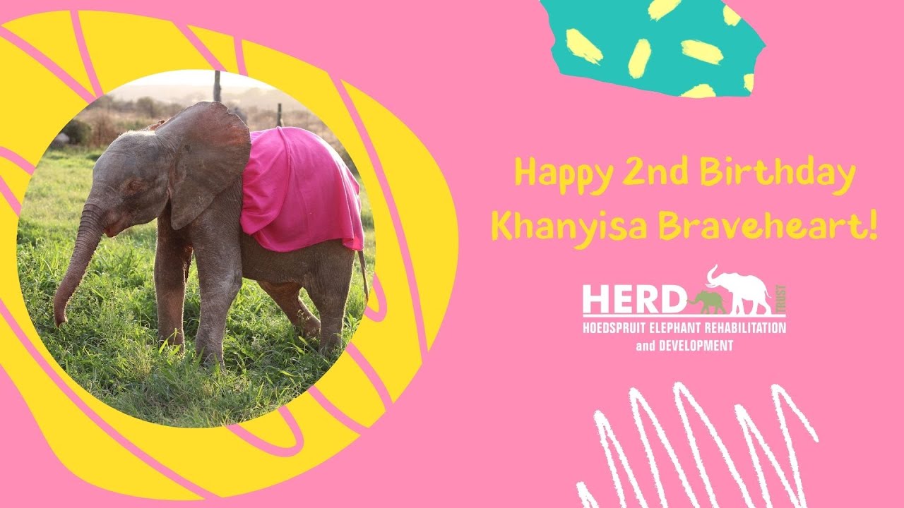 Happy 2nd Birthday, Khanyisa Braveheart! How Far You've Come! 🥳🥳 - YouTube