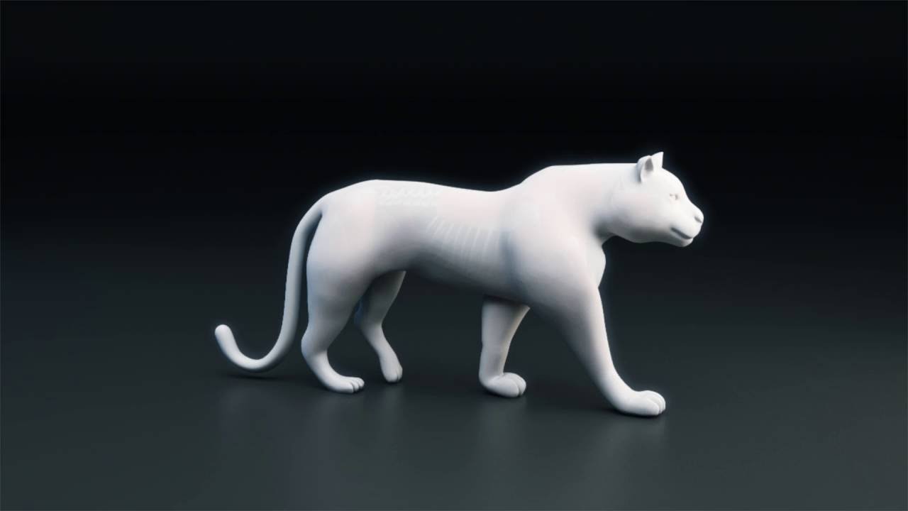 PSOFT CharacterBox for MODO / Muscles - YouTube