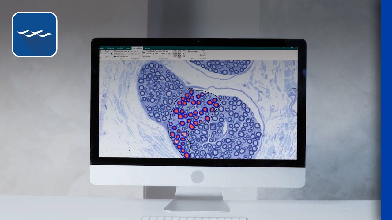 Qualifying Digital Image Analysis for Good Laboratory Practice (GLP ...