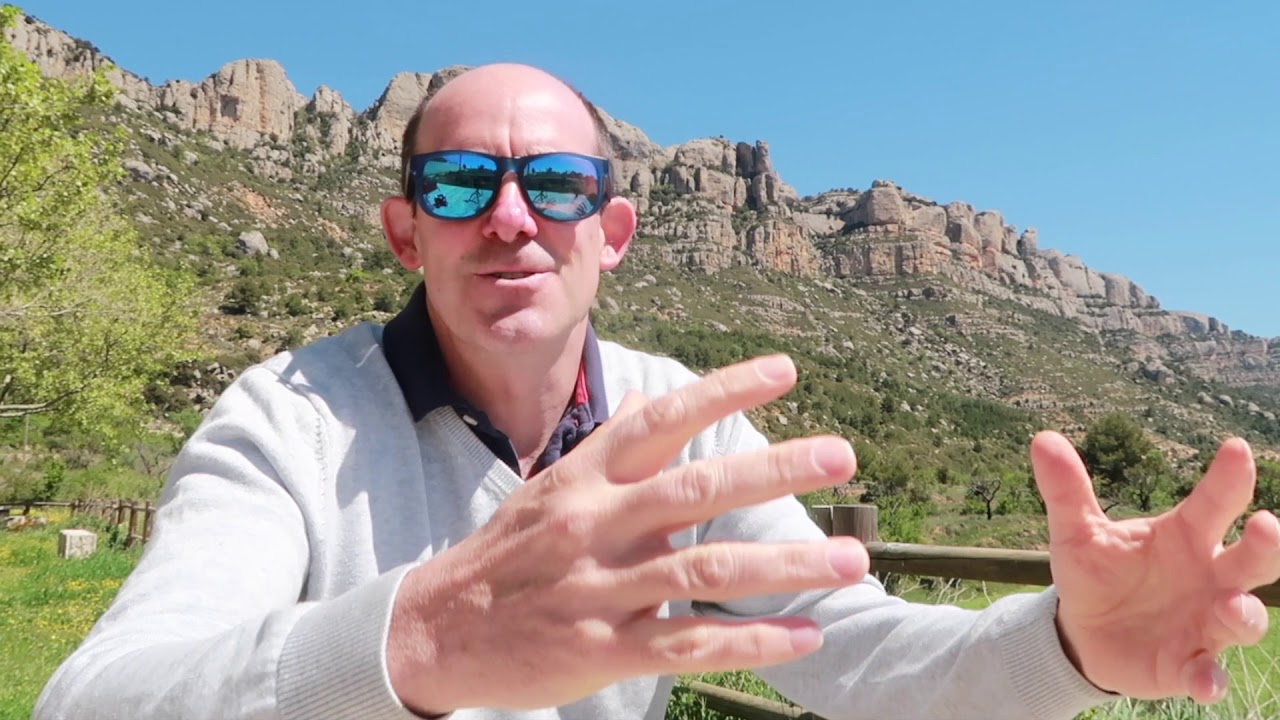 Book Recommendation: The Surrender Experiment by Michael Singer - YouTube