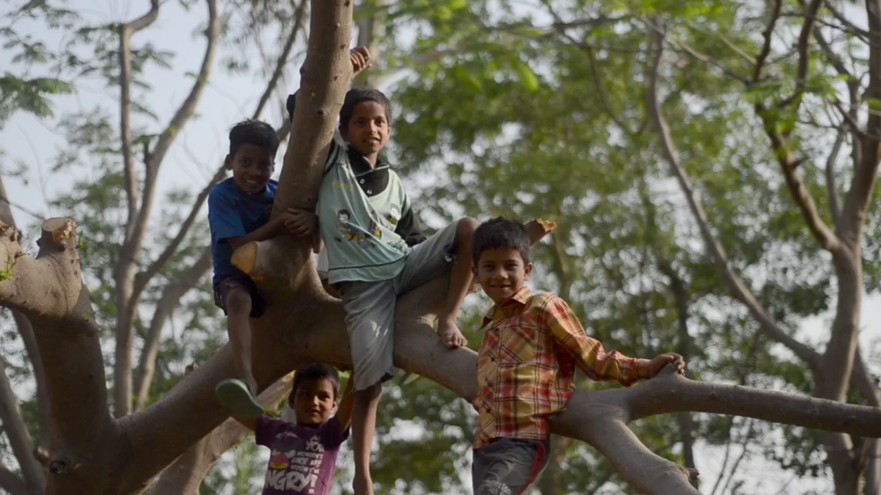 How Sudeva is changing lives at Bal Ashram! - YouTube