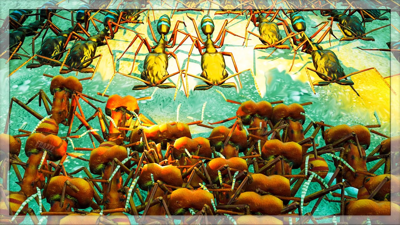 1000 Leaf Cutter Ants VS 1000 Trap Jaw Ants in Empires Of The ...