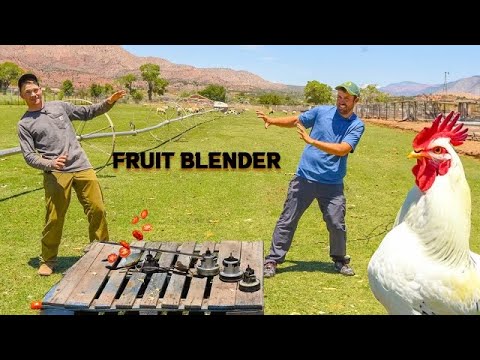 We Fed Chickens With Vacuum Motors - YouTube