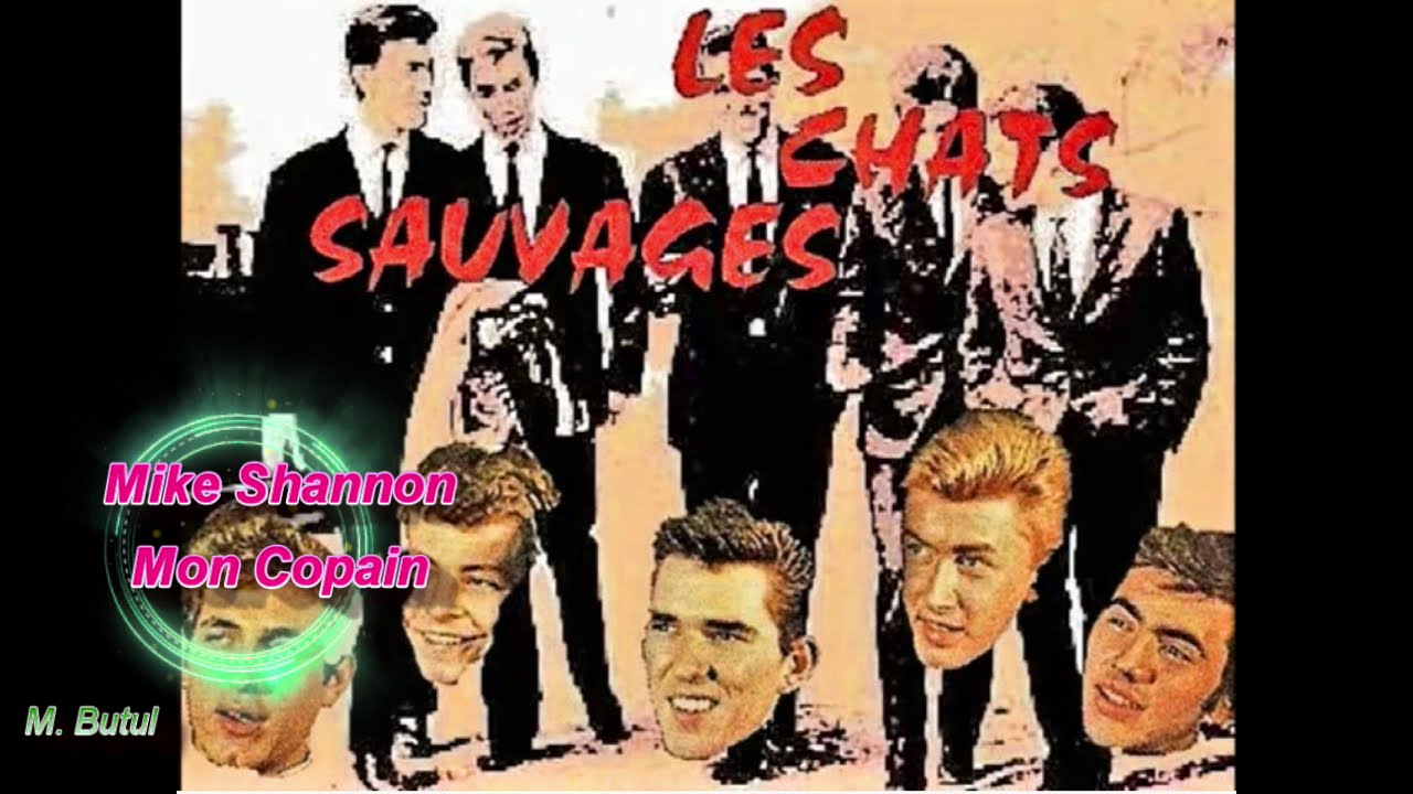 Les Chats sauvages Mike Shannon Mon copain - YouTube Music