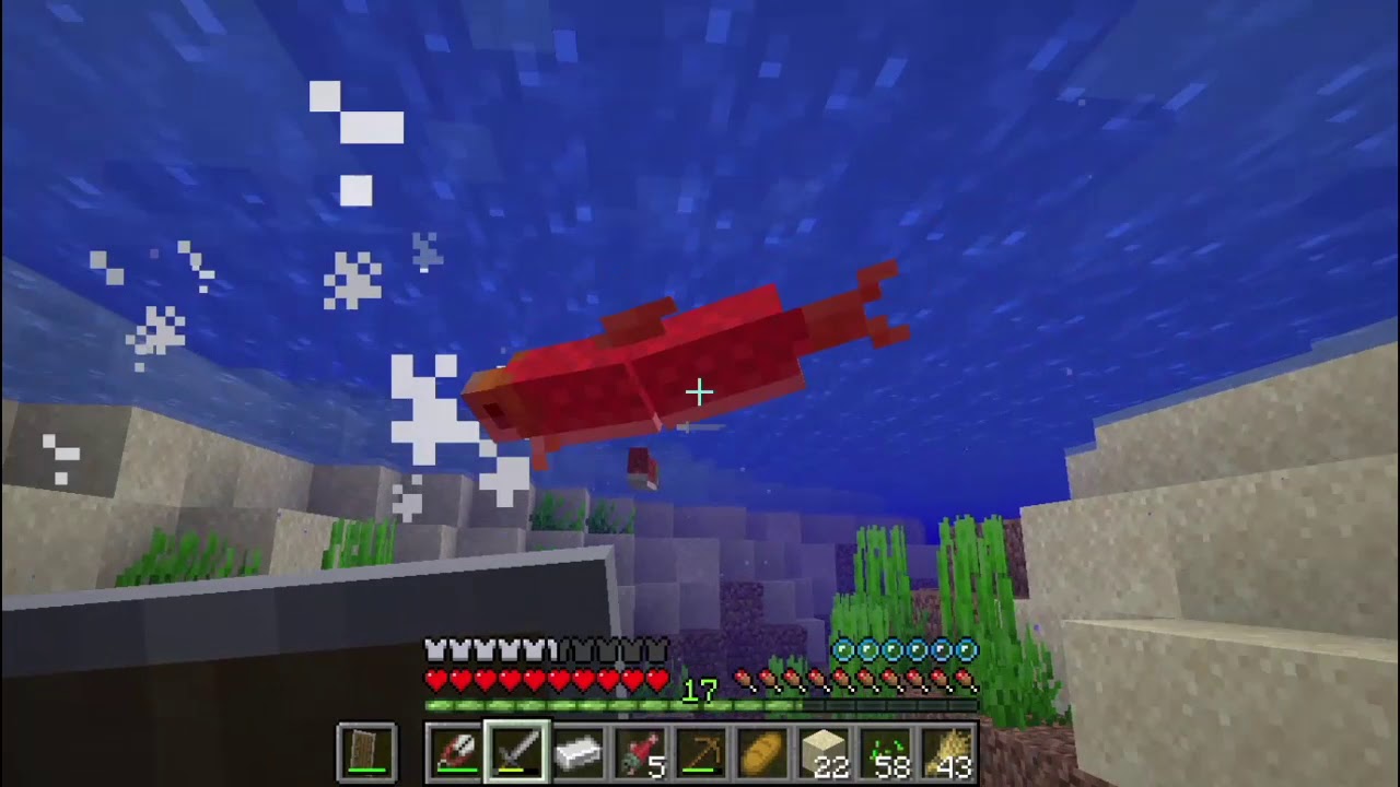 Minecraft fish - How to Catch some fishes Quickly : Minecraft Fishing ...