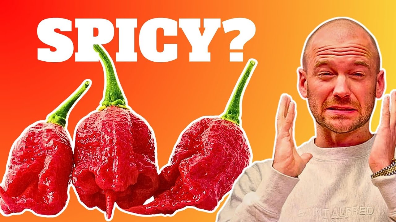Apollo Pepper on the Scoville Scale - YouTube