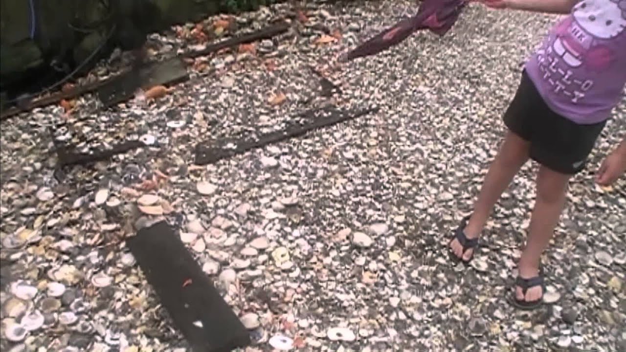 Jaws Filming Location - Day Trip to Menemsha - Site of Quint's Shack ...