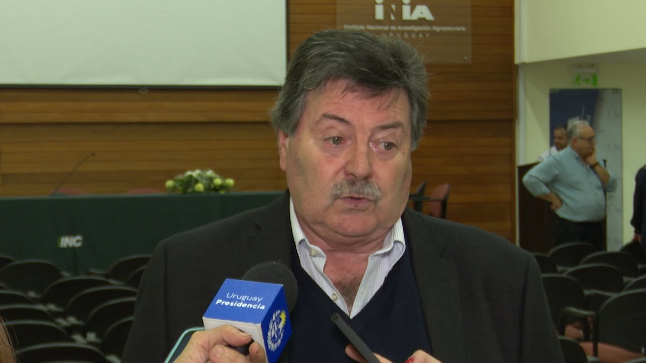 Entrevista al presidente del INC, Julio Cardozo - YouTube