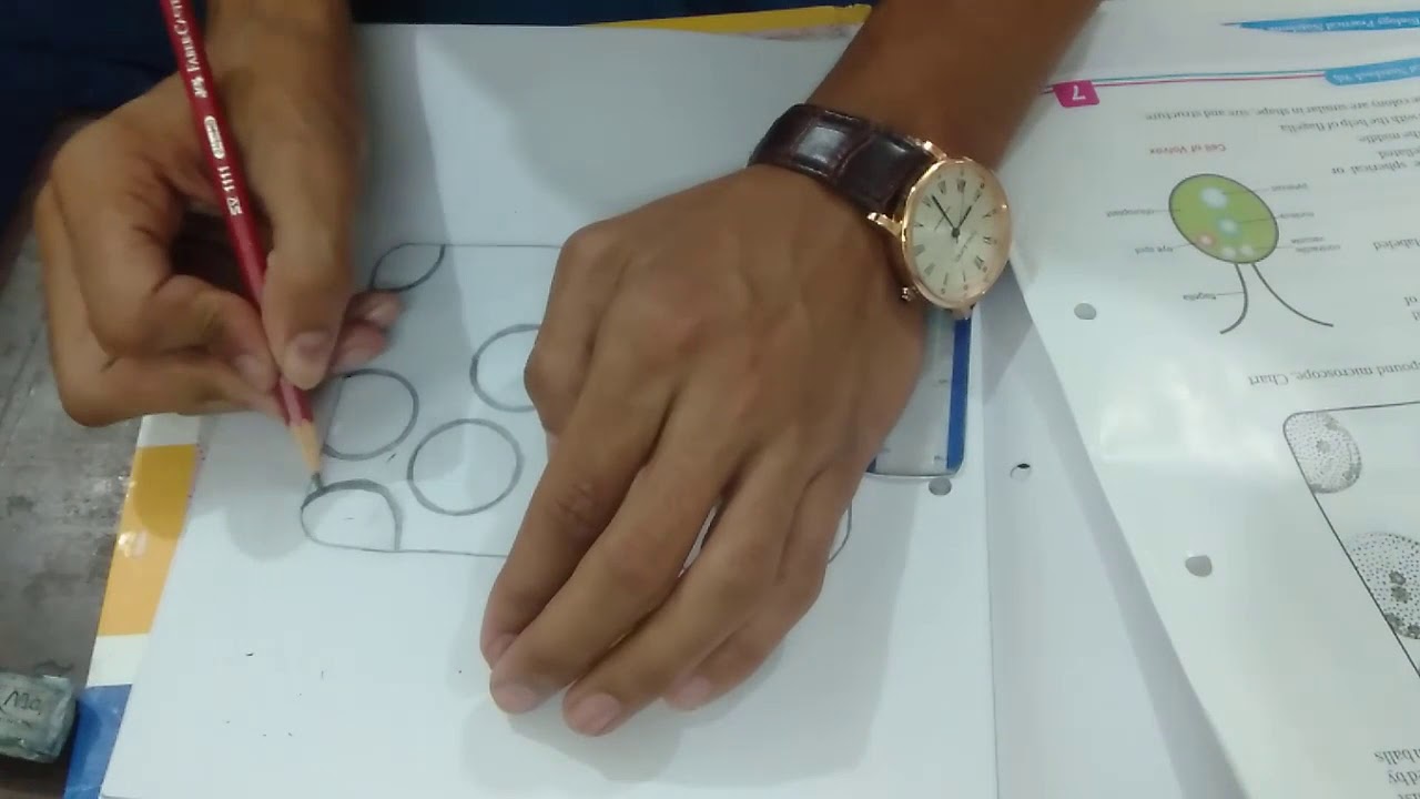 How To Draw Volvox Diagram Part#02 - YouTube