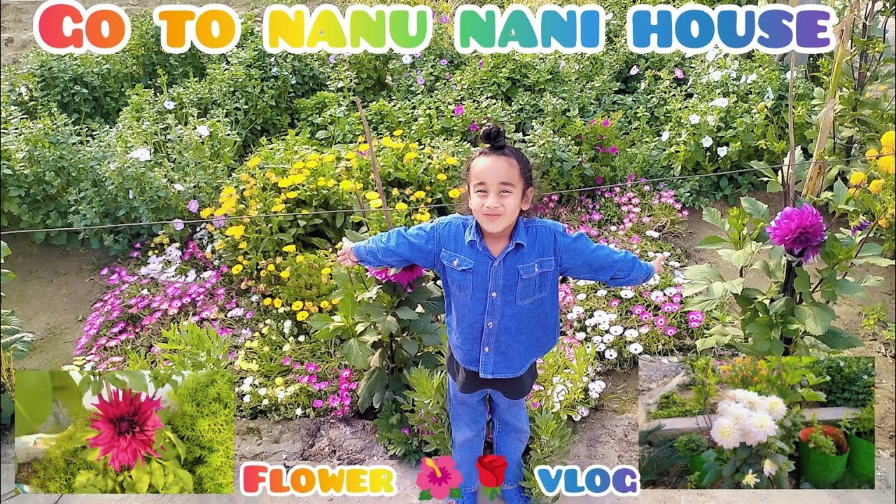 Go to nanu nani house 🏡|| flowers 🌺🌹 vlog ️ - YouTube