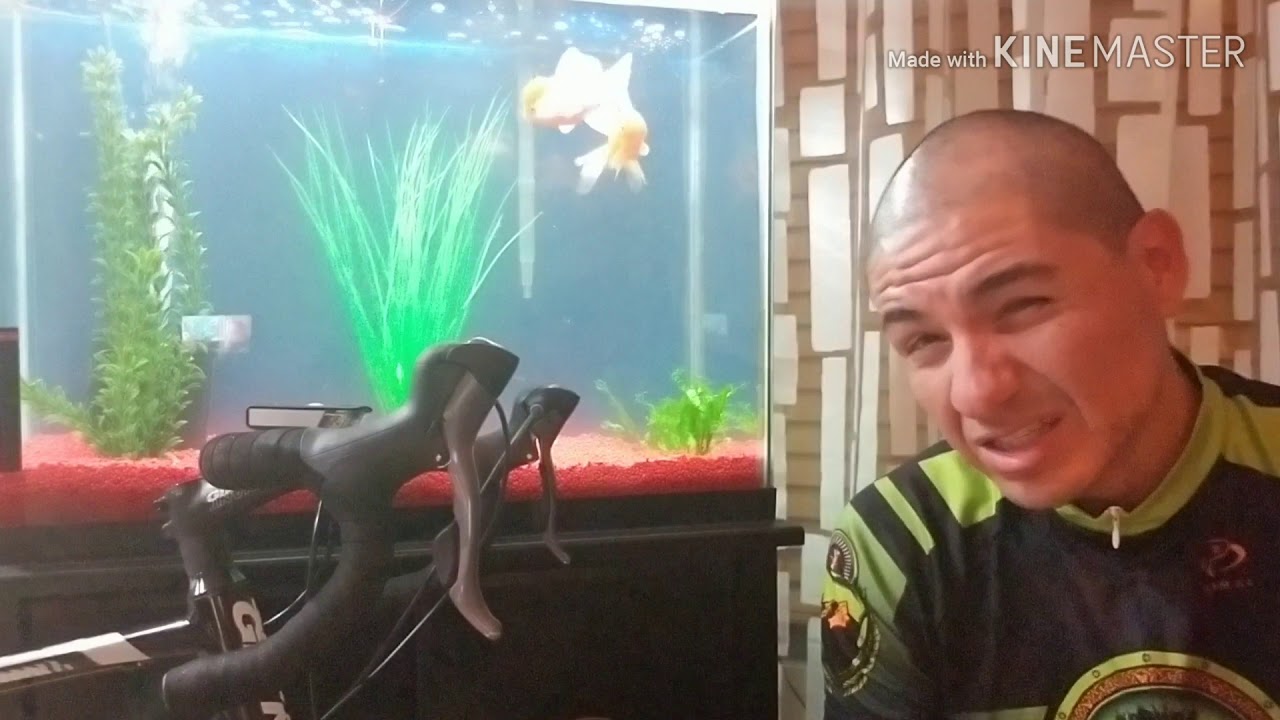 New Tire Day My First Pair of Continental Gatorskins 25mm - YouTube