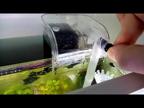 Bitkili akvaryum Şelale filtre kurulum Aquarium filter setup