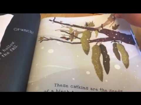Secrets of Winter, a Shine-a-Light Book - YouTube