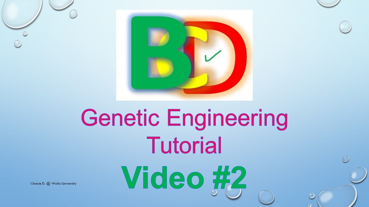 Genetic Engineering Tutorial Video #2 /Exit Exam practice - YouTube