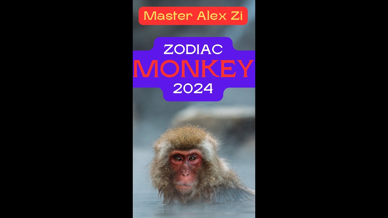 Zodiac “MONKEY” Forecast for 2024 the Year of Wood Dragon - YouTube