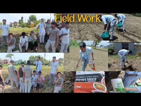 Agriculture Student Field Work 💚#college #fieldwork#collegelife # ...