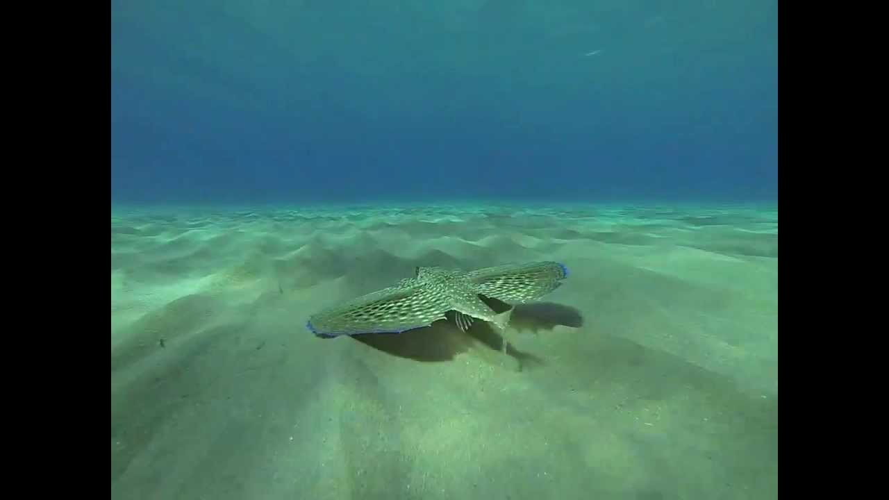 The Millennium Falcon goes into hyper speed - YouTube