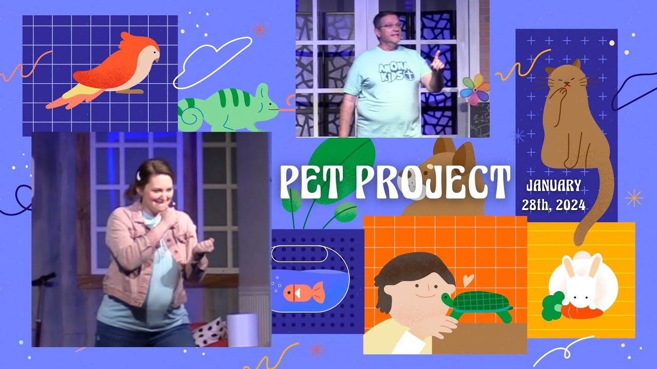 The Pet Project: Use your words wisely. - YouTube