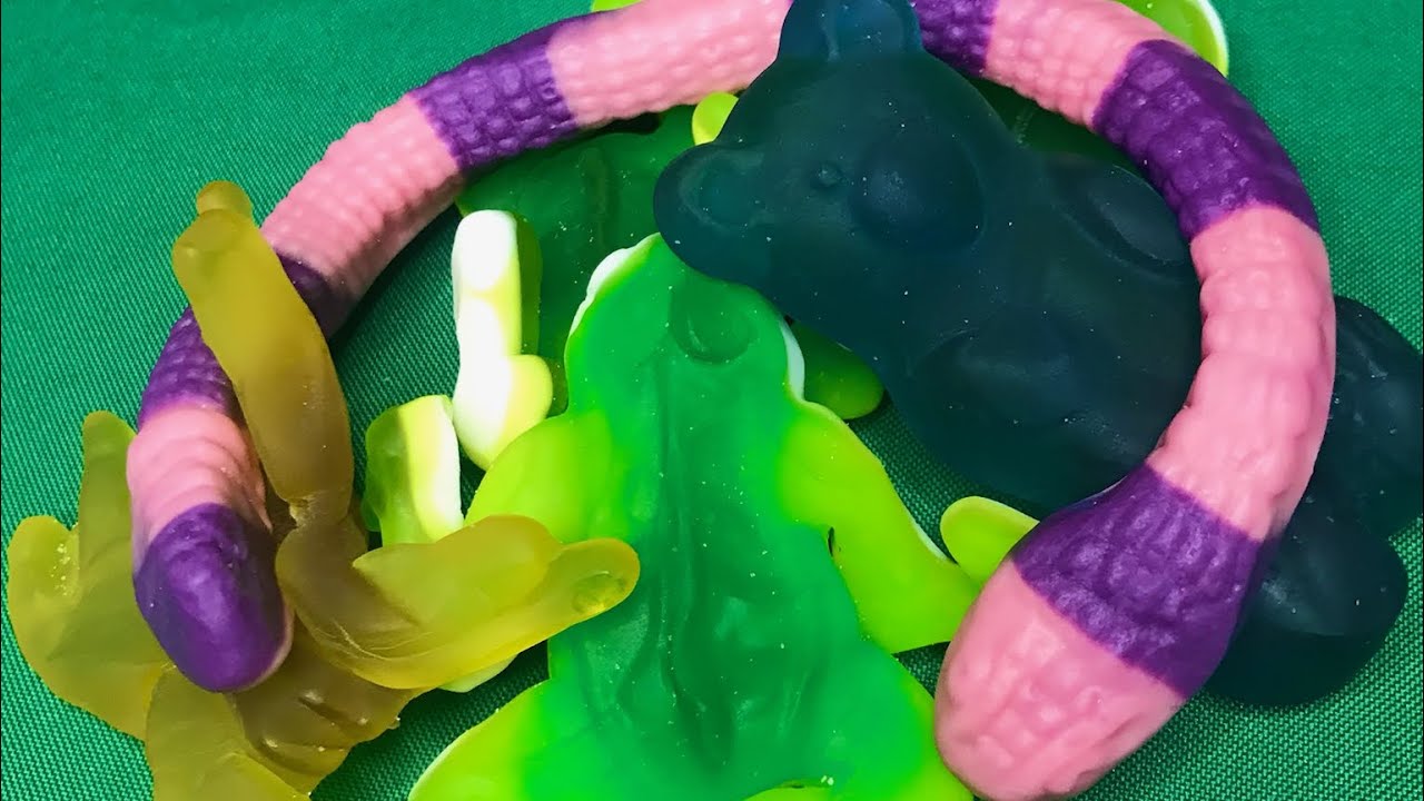 Giant jelly animals. Guess the taste! More candies! Marmalade show ...